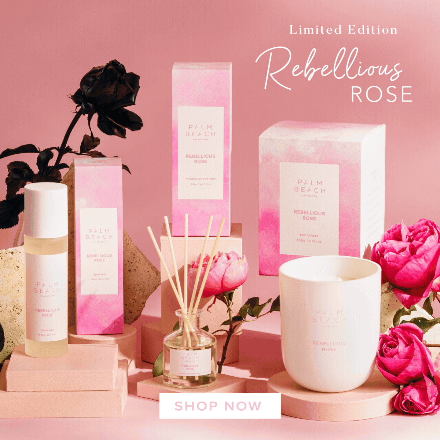 Palm Beach Collection | Australia's Luxury Online Home Fragrance Store